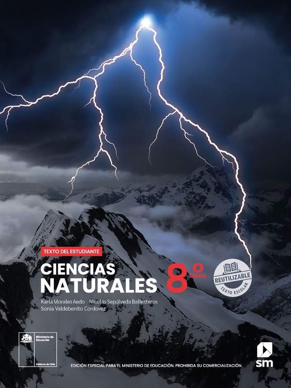 Libros de 8° Básico PDF 2025